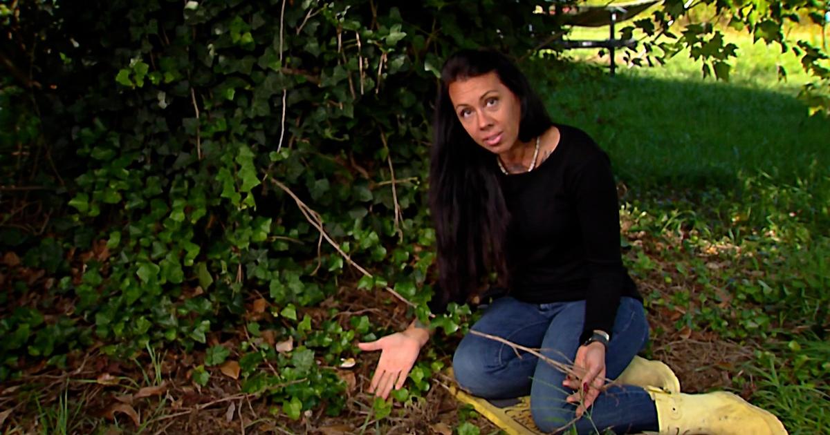Virginia Home Grown | Removing English Ivy | Season 24 | Episode 7 | WETA