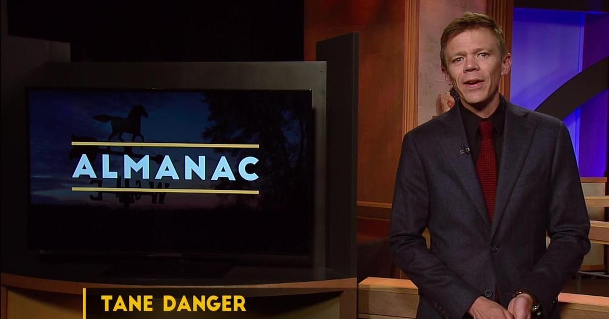 Almanac | Tane Danger Essay | September 2025 | Season 2026 | Episode 2 ...