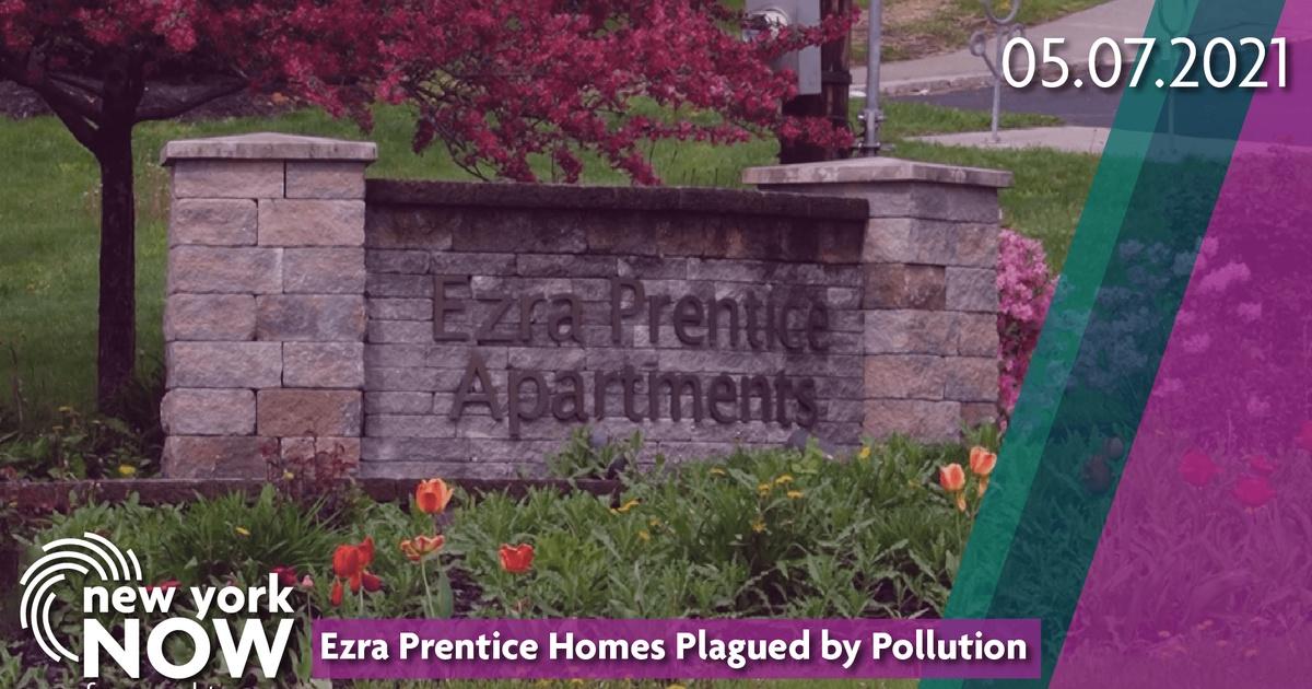 New York NOW | The Future of Ezra Prentice Homes | Season 2021 ...