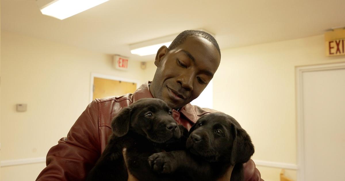 Table for All with Buki Elegbede | Canine and Teacher Appreciation ...