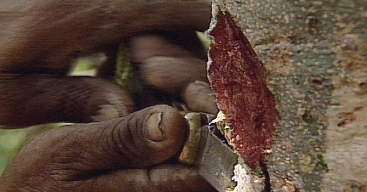 The Desert Speaks | The Mayo Tribe | Season 5 | Episode 2 | Houston PBS