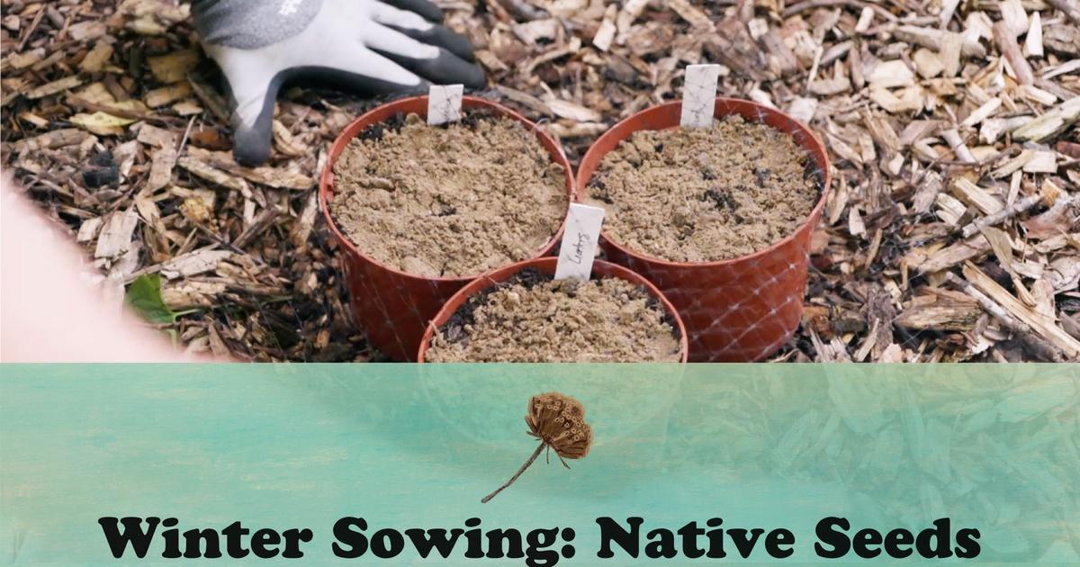 Let's Grow Stuff | Winter Sowing: Native Seeds | Season 3 | PBS