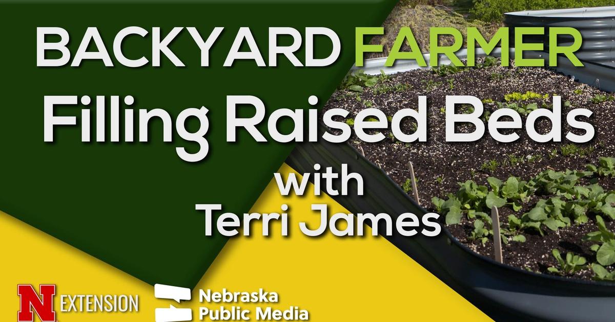 Backyard Farmer | Filling Raised Beds & Flagstone Patio Project ...