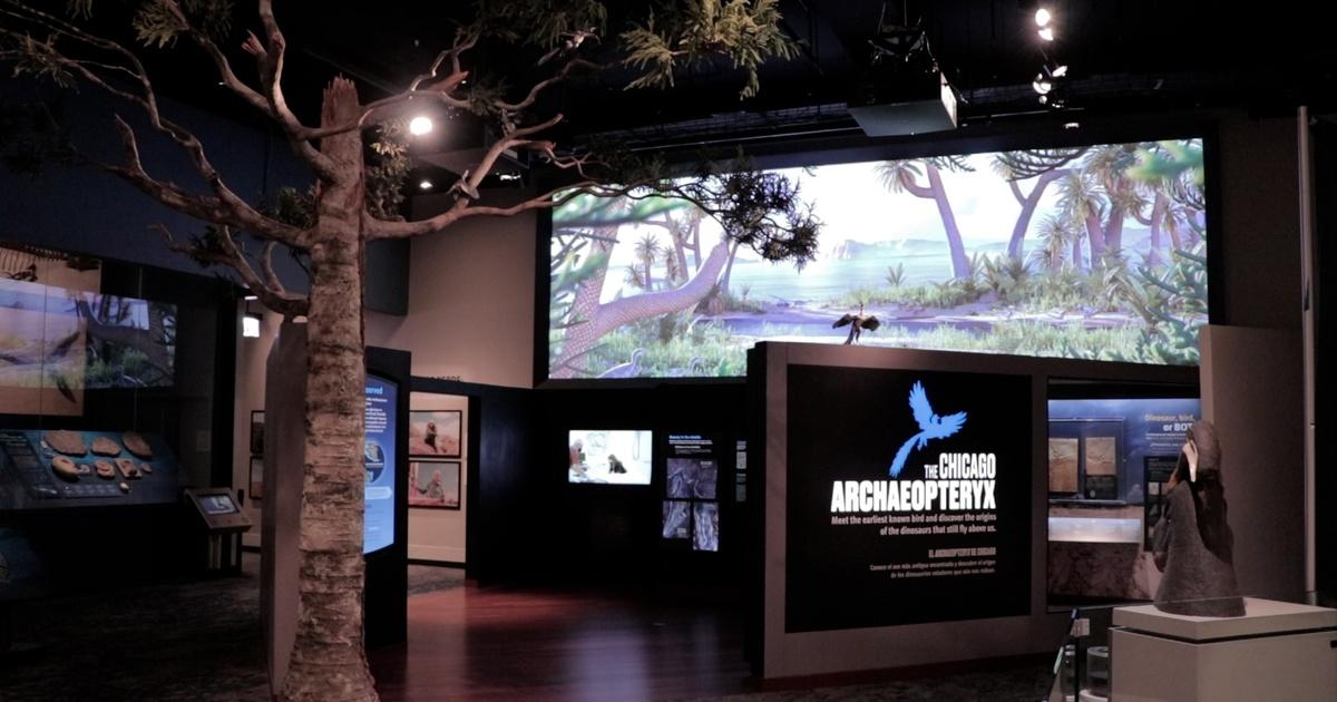 Chicago Tonight | Chicago Archaeopteryx Exhibit Opens at the Field ...