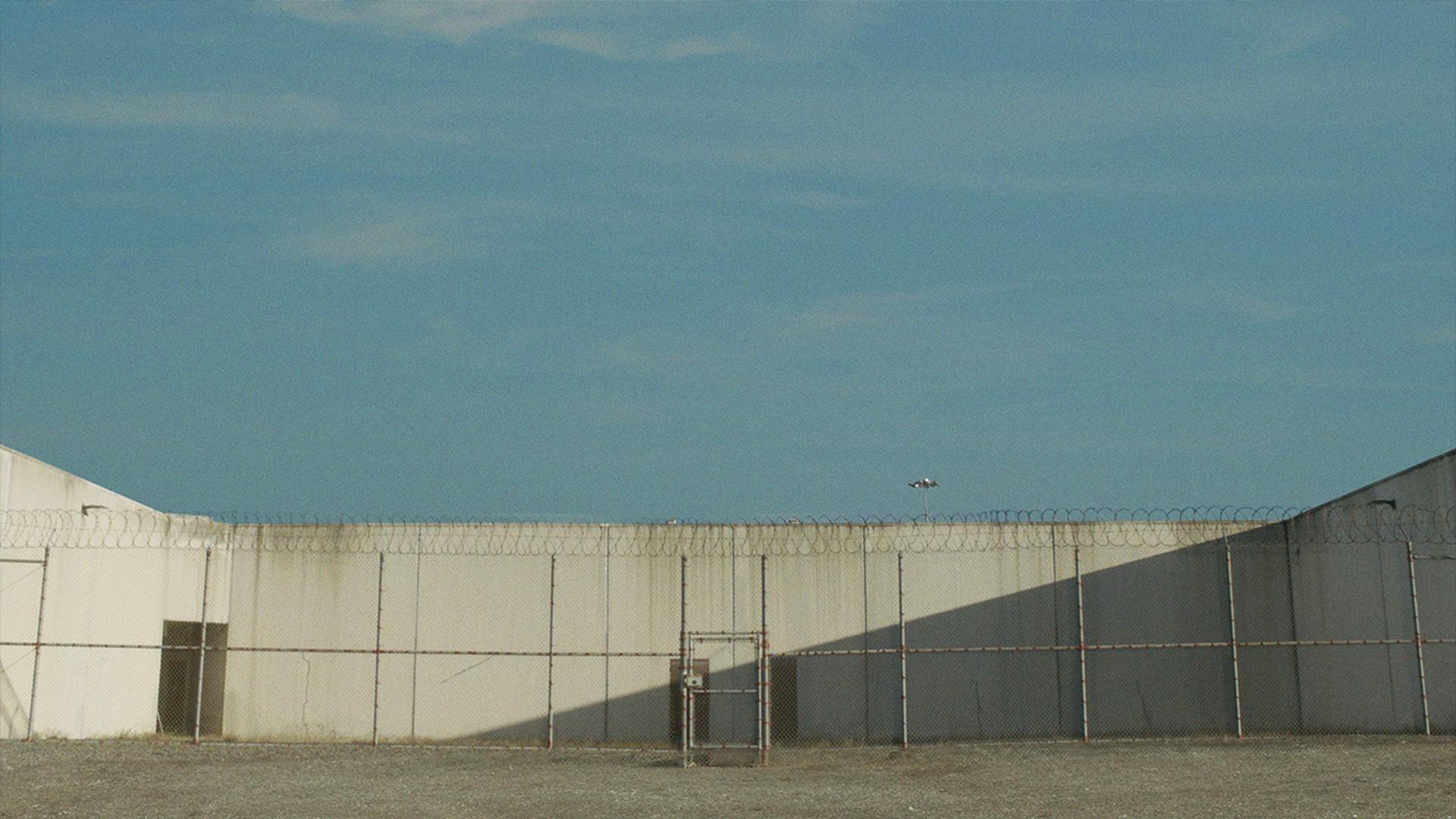 The Strike | Independent Lens | ALL ARTS