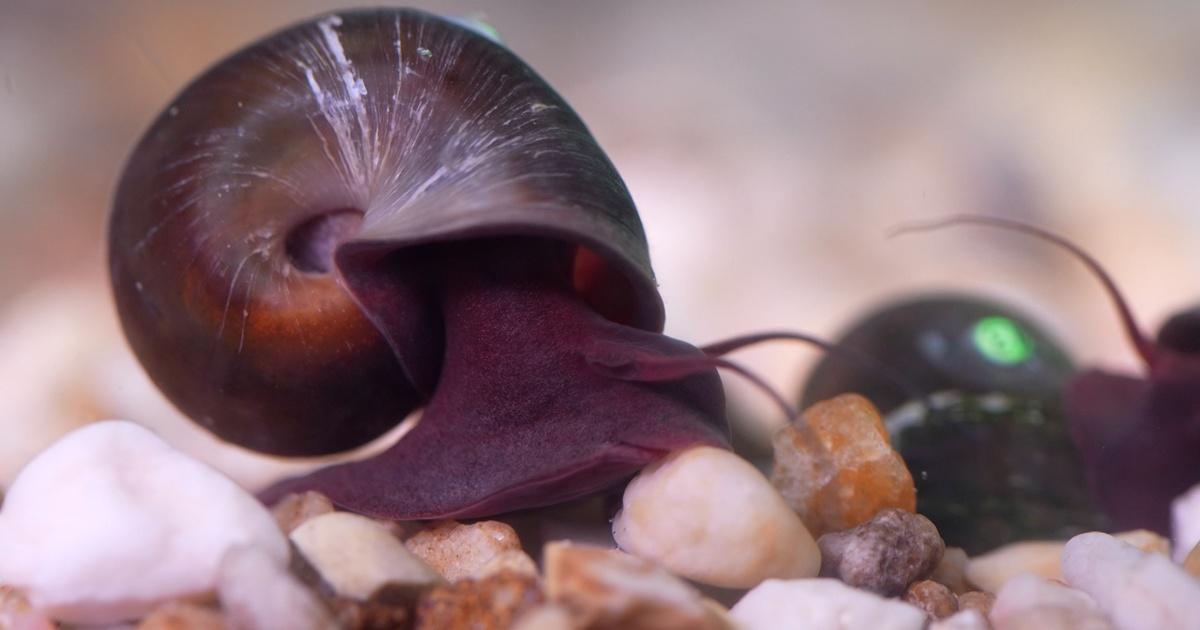 SCI NC | Nature’s Wonders | Season 7 | PBS