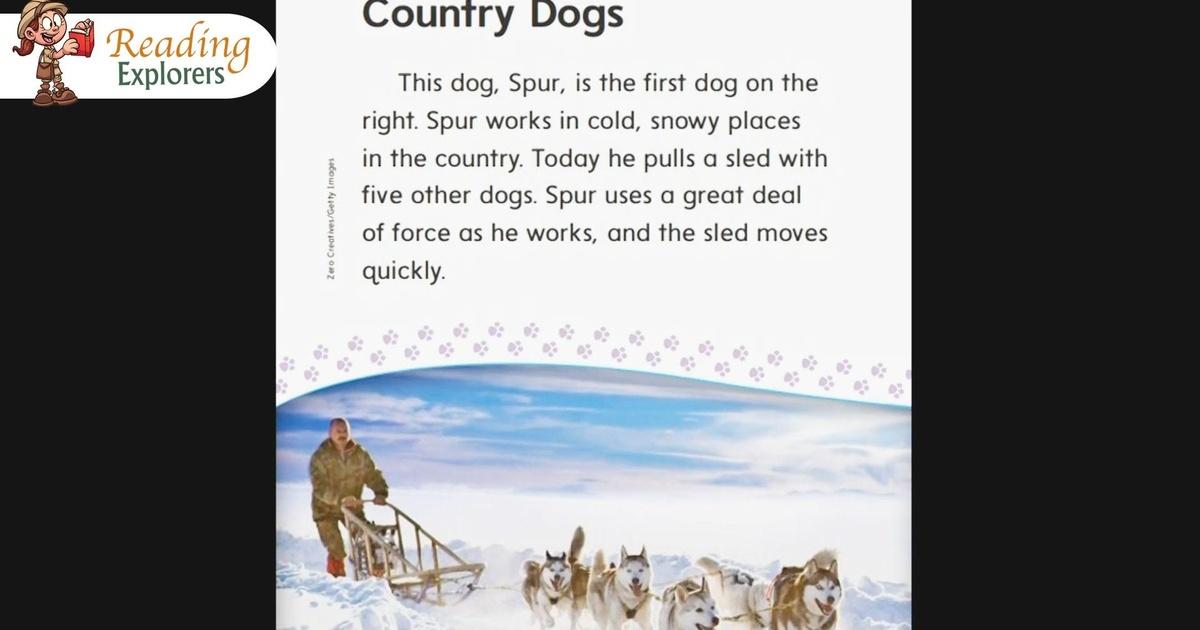 Reading Explorers | 2-314: Reading 'Dogs Work!' Together | Season 3 ...