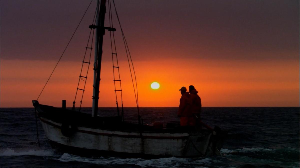 Superfish | Nature | THIRTEEN - New York Public Media