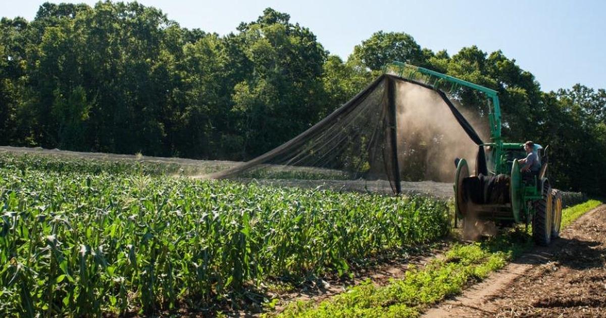 Harvesting Rhode Island | Four Town Farm | Episode 6 | PBS
