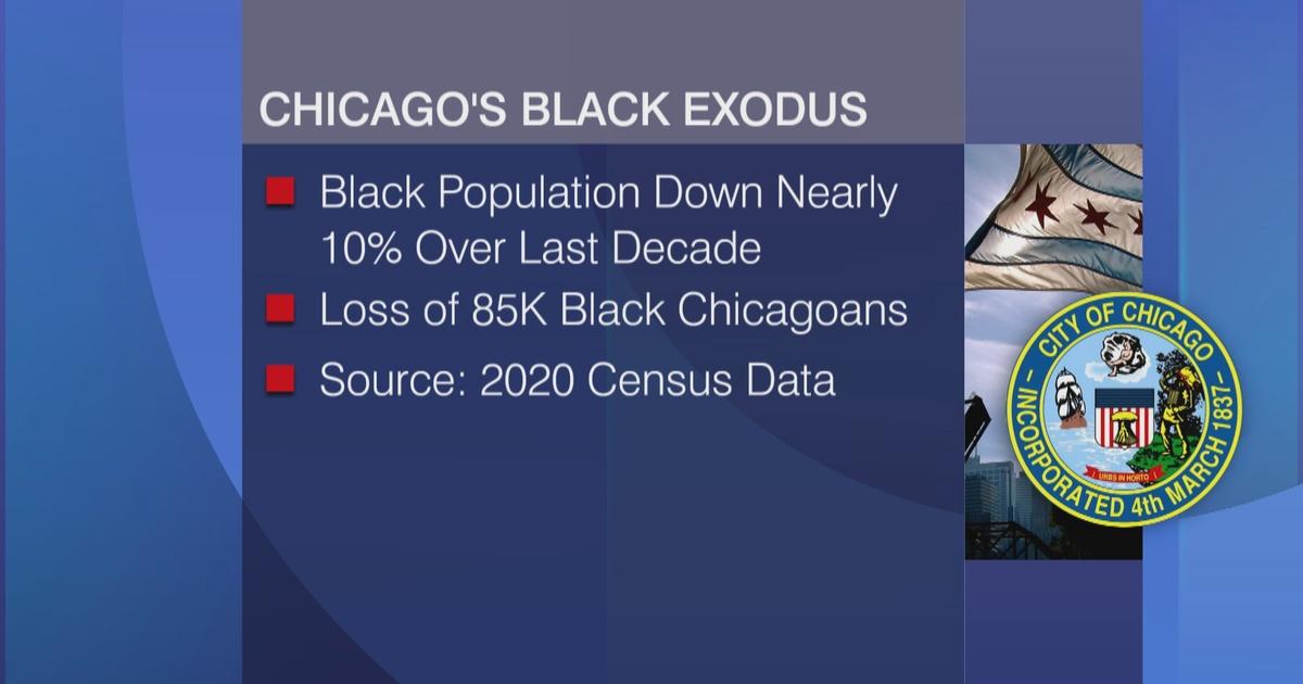 Chicago Tonight: Black Voices | How Chicago Can Stem the Tide of Black ...
