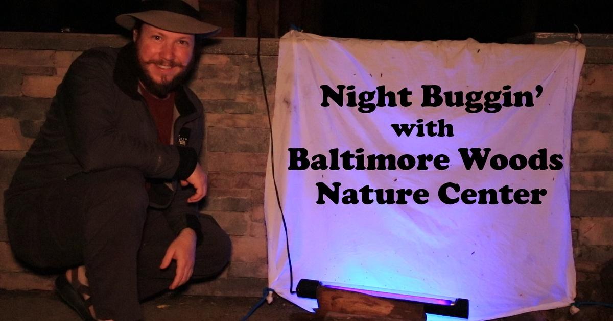 WCNY Specials | Camp TV: Night Buggin' with Baltimore Woods | Season ...