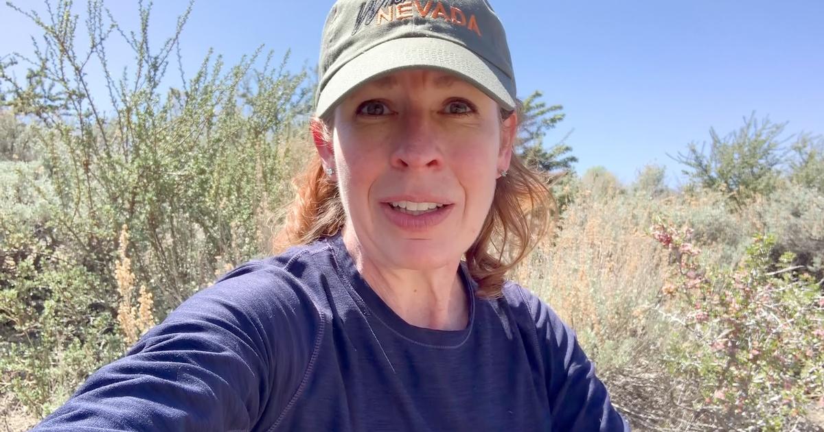 Wild Nevada | Wild Nevada Memories Preview | Chris Orr | PBS