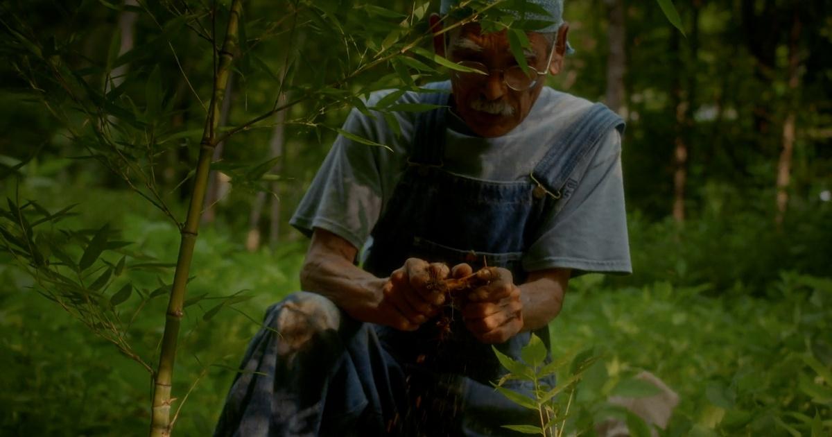 REEL SOUTH | The Strength of Bamboo | Season 10 | Episode 1003 | PBS