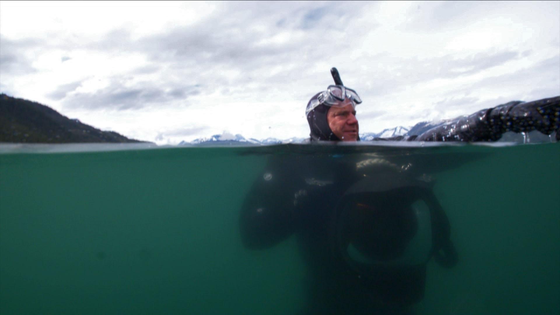 Alaska's Most Surprising Predator: The Salmon Shark | Wild Alaska Live ...