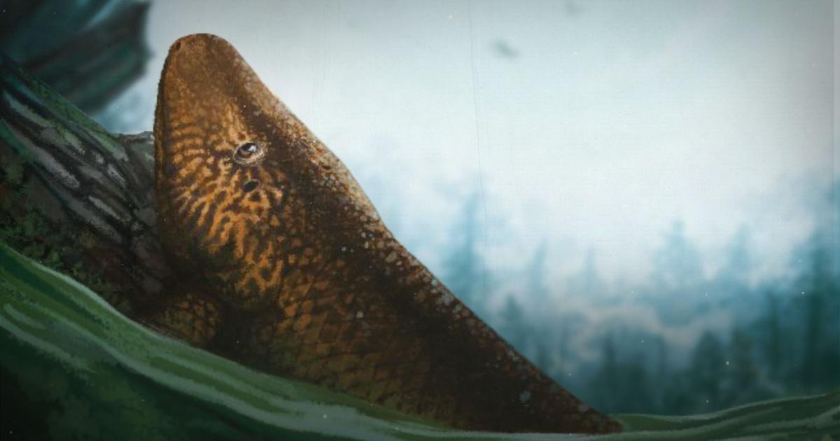 Eons Podcast | Could You Survive The Devonian Period? | Season 2 ...