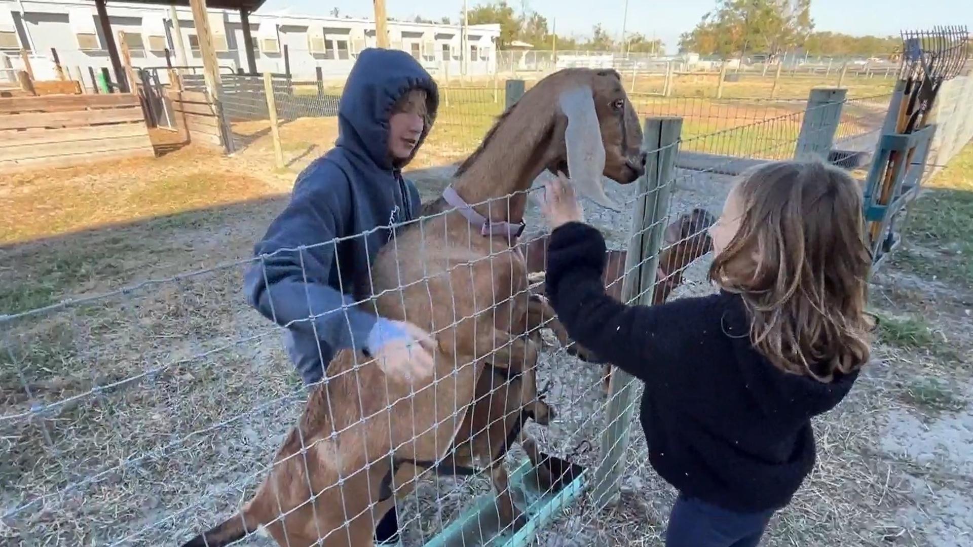 Charter school weaves farm animal care into its curriculum | PBS News Hour | WLIW