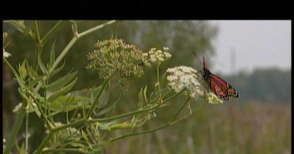Kentucky Life | Shape-Note Singing; Butterflies | Season 13 | Episode ...