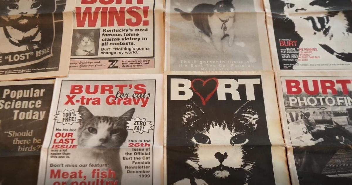 Kentucky Life | The Official Burt the Cat Fanclub Newsletter, the Story ...