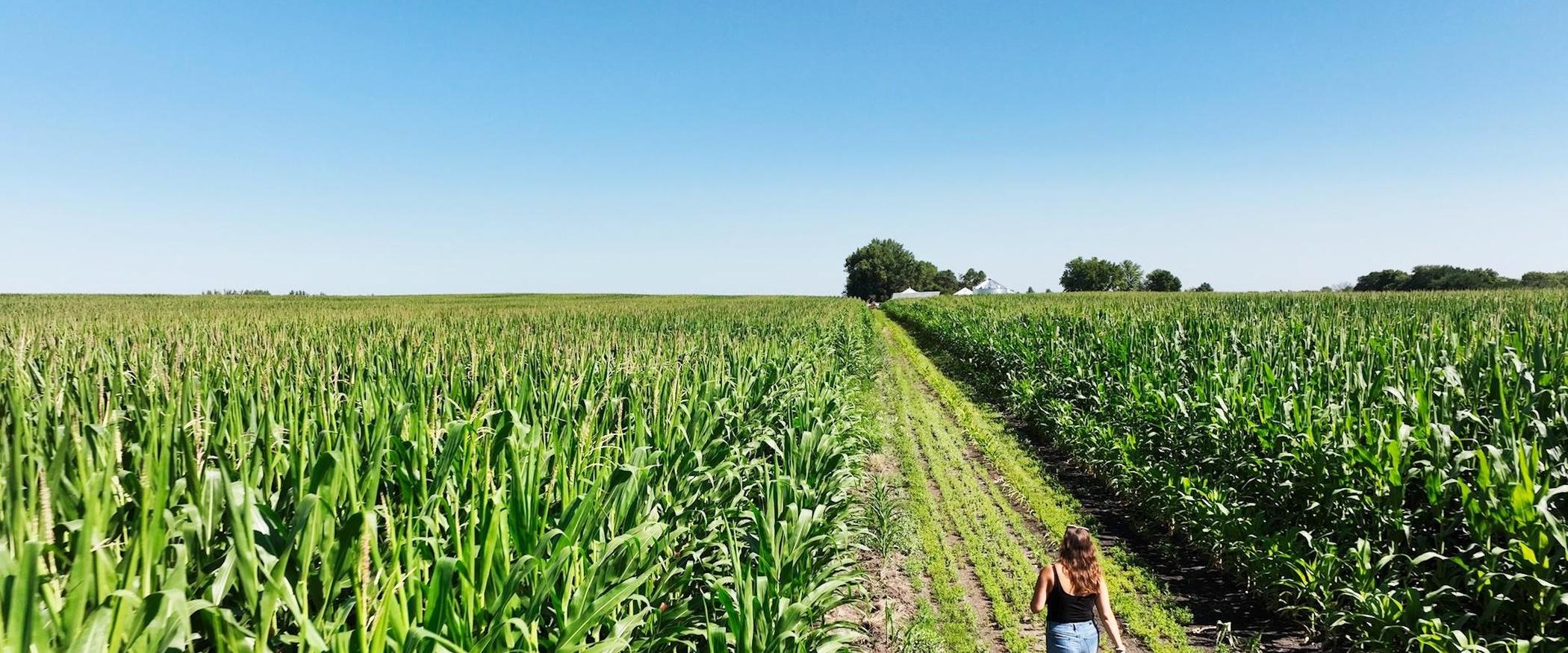 Local, USA | Video | THIRTEEN - New York Public Media