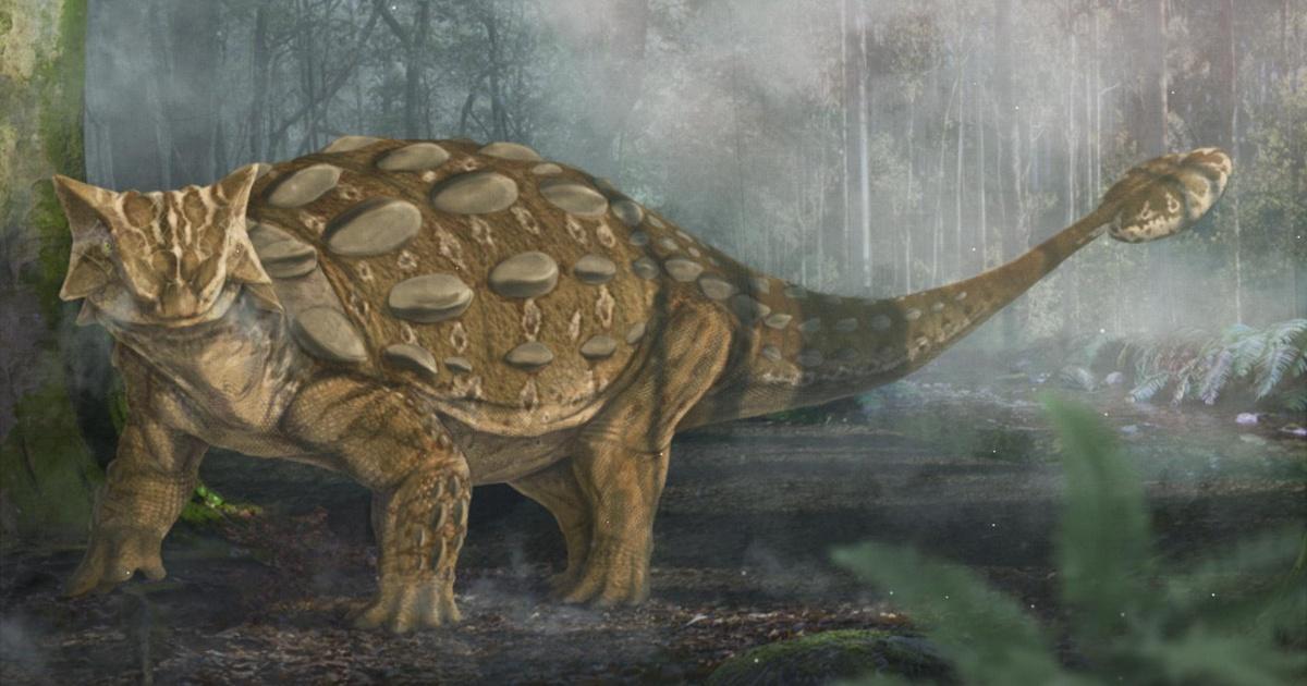 Eons How Ankylosaurs Got Their Clubs Season 3 Episode 23 Pbs