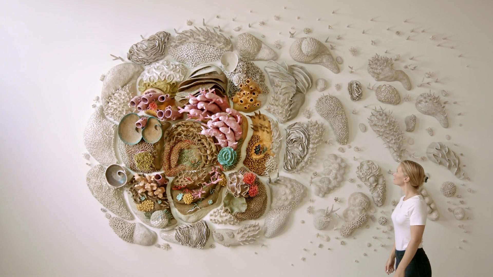 Climate Artists S2: Preview | Climate Artists | WLIW