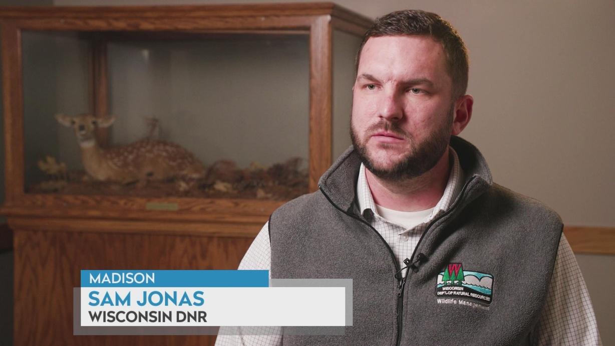Sam Jonas on broad goals of Wisconsin's wolf management plan