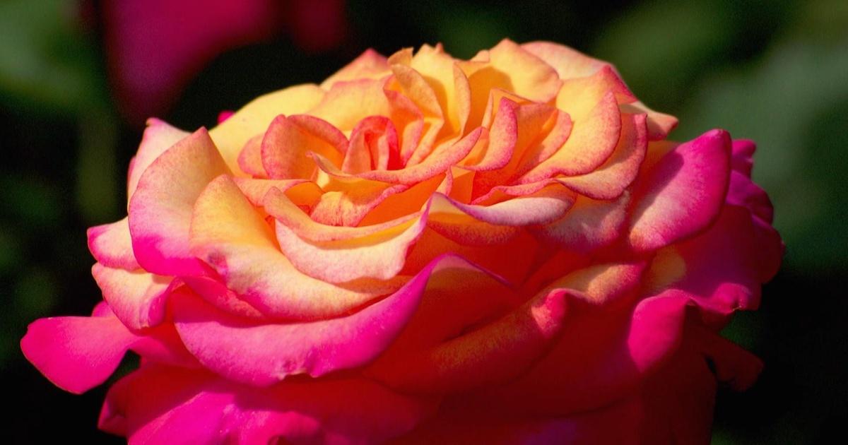 Oregon Field Guide | NHPBS