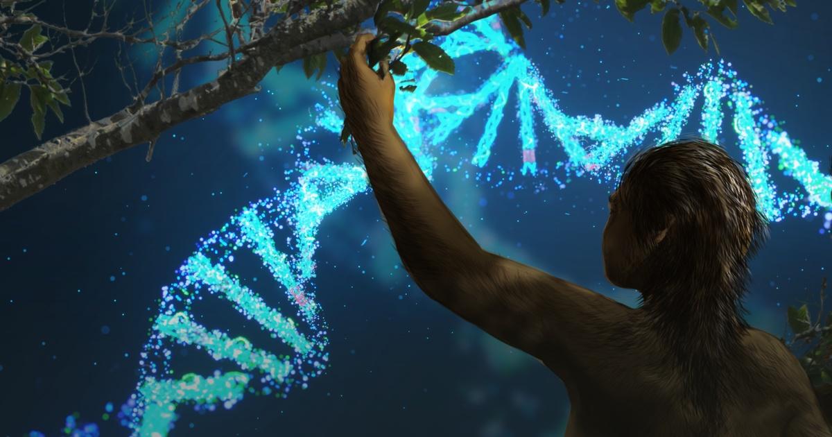 Eons | The Genes We Lost Along the Way | Season 3 | Episode 36 | PBS