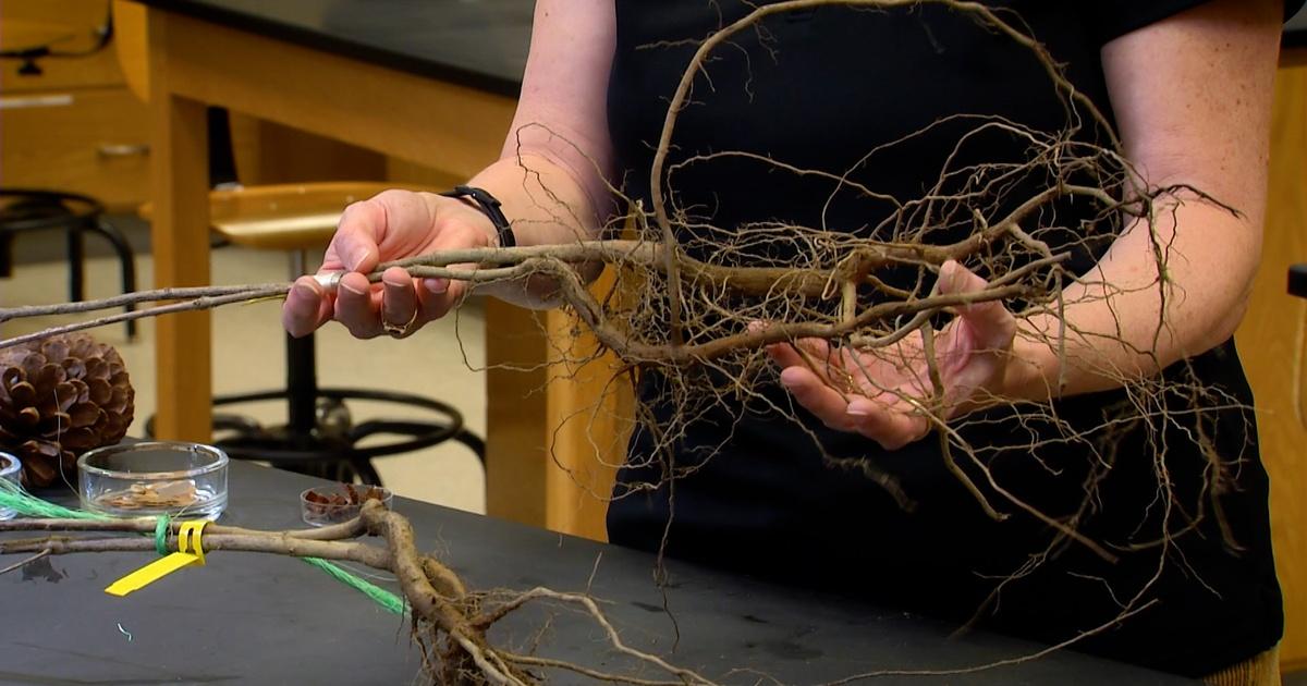 Virginia Home Grown | Bare Root Planting | Season 25 | Episode 1 | PBS