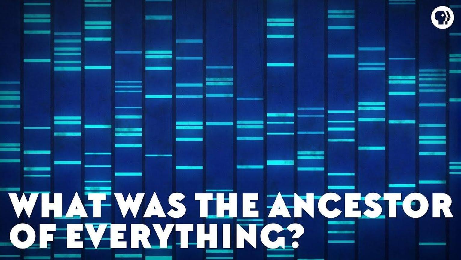 Early Life on Earth Collection | Eons | PBS