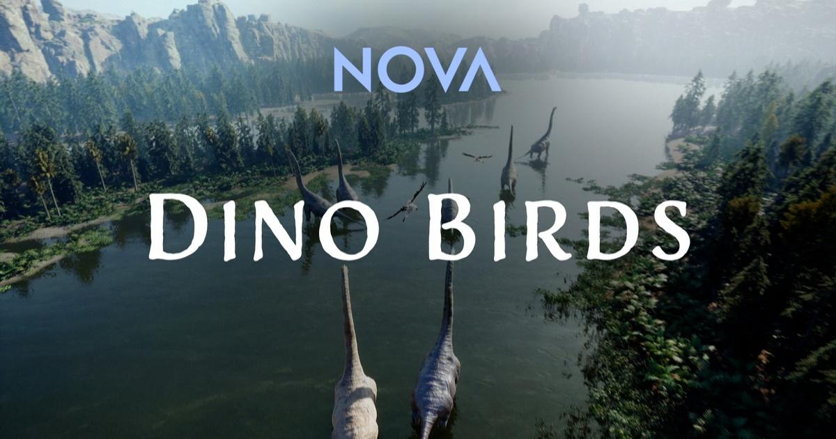 WTVP Spots | Trailer | NOVA #5203 | Dino Birds | Season 2025 | PBS