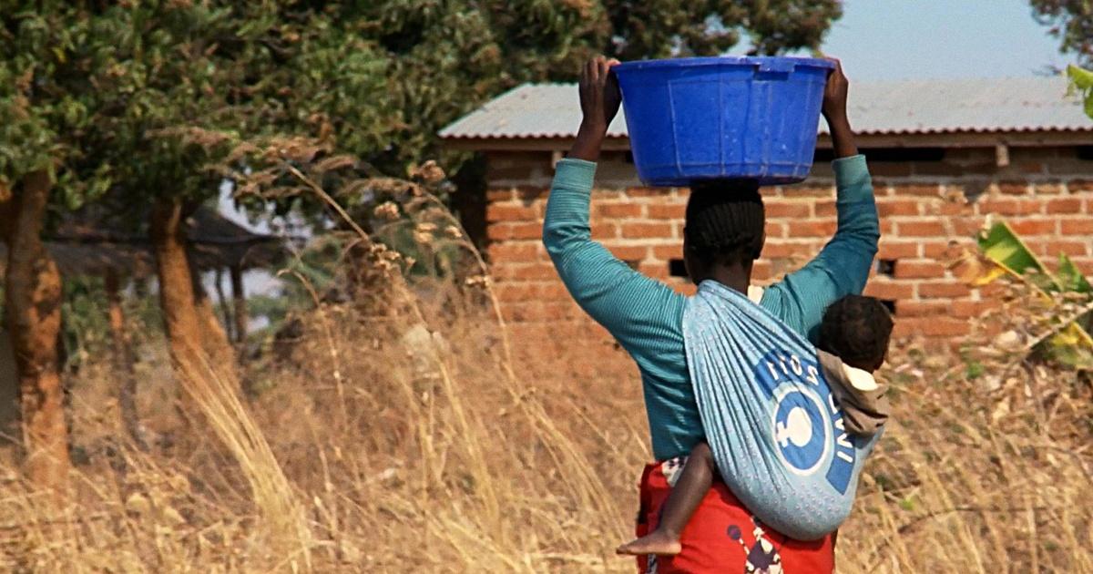 The Ants & the Grasshopper: The Series | Why are Women Bearing the ...