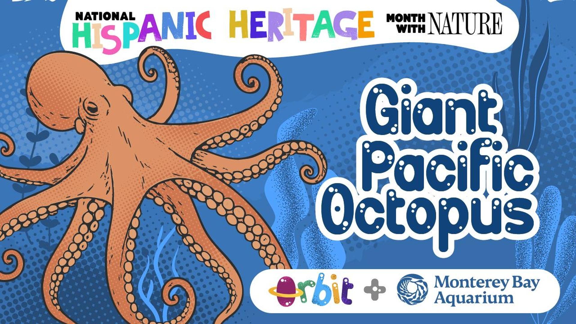 Giant Pacific Octopus: 8 arms and 9 brains | Nature | THIRTEEN - New ...