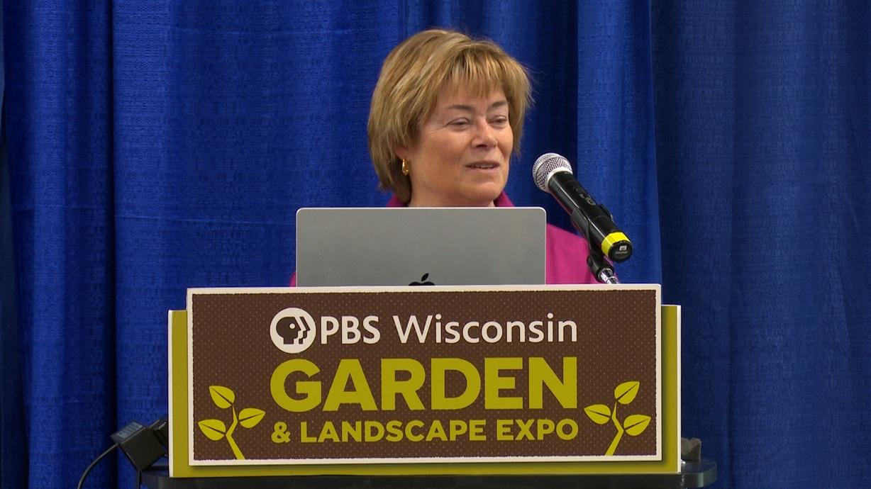 Simple Steps to a Beautiful Rose Garden | Watch University Place on PBS ...