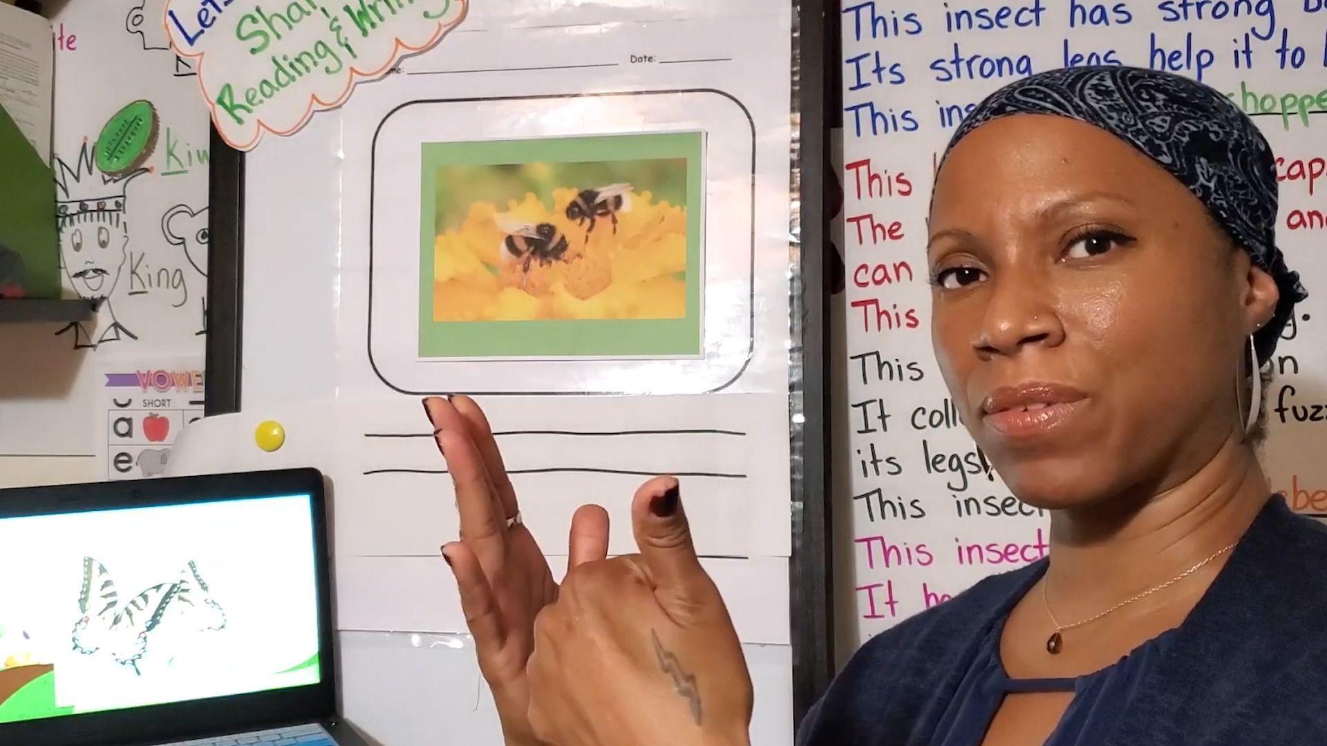 What's the Sound of "ow" in Owl? | Let's Learn | THIRTEEN - New York ...