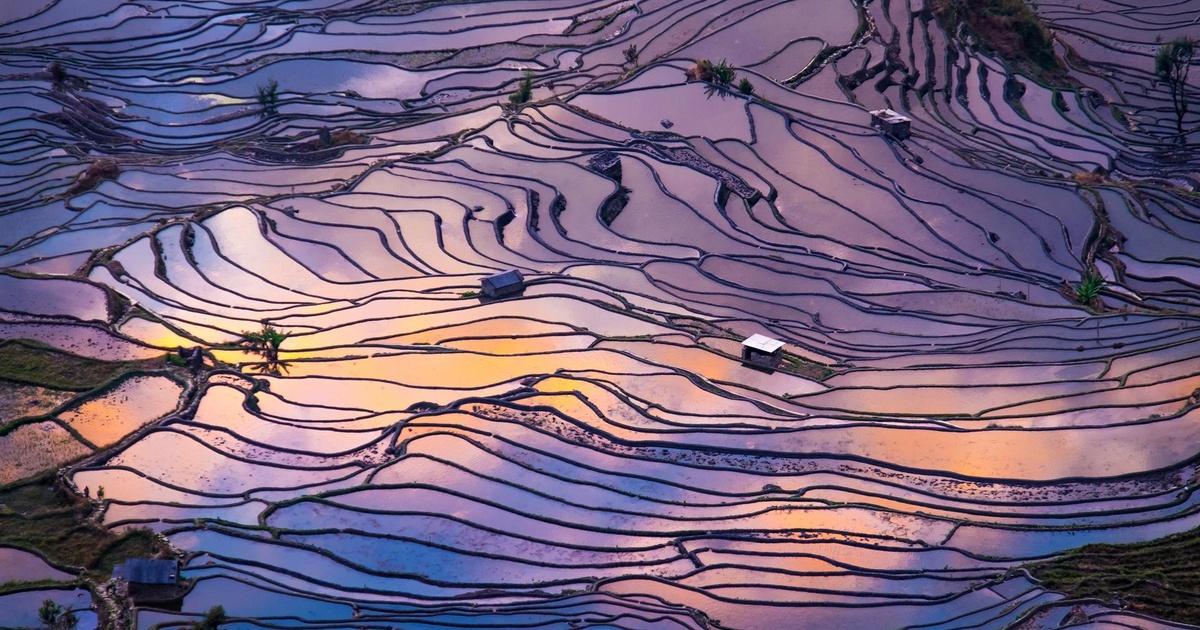 The Molecule That Made Us | Civilizations | Episode 2 | PBS