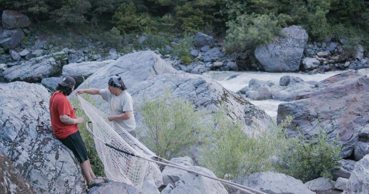 Tending Nature | Restoring The River with the Yurok, Hupa and Karuk ...