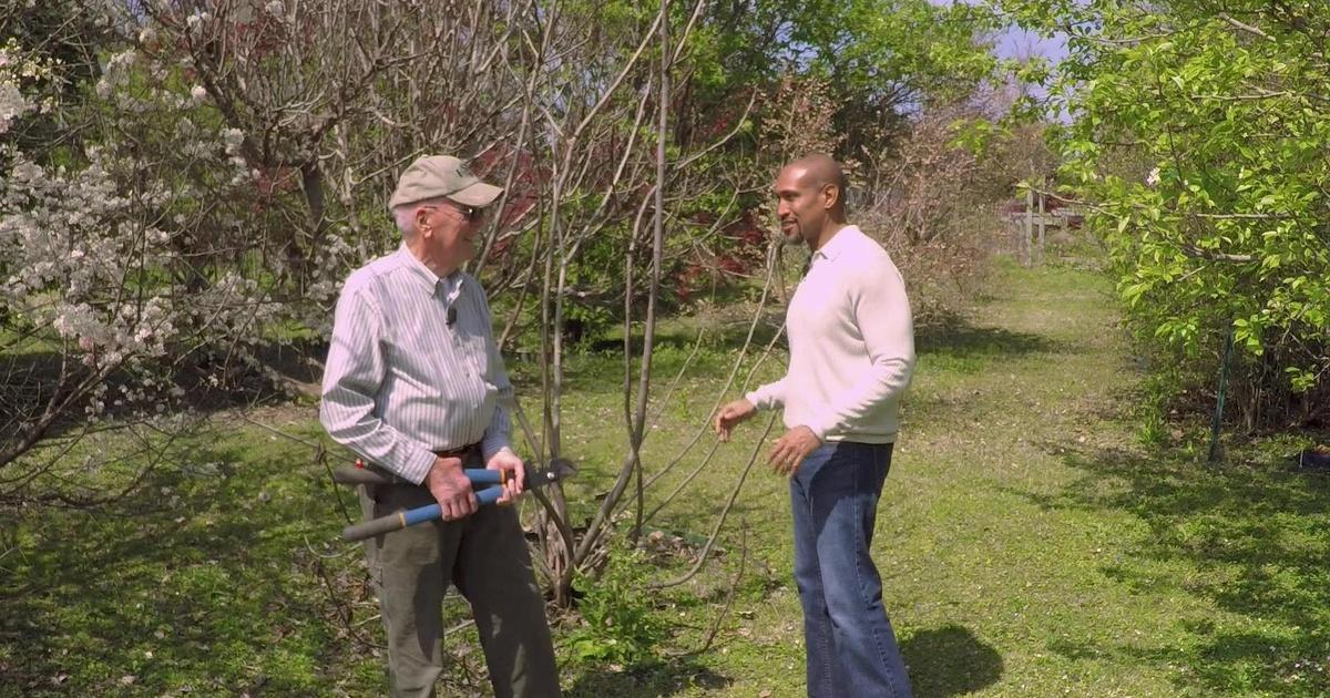 The Family Plot | Spring Gardening Checklist & Pruning Figs | Season 15 ...