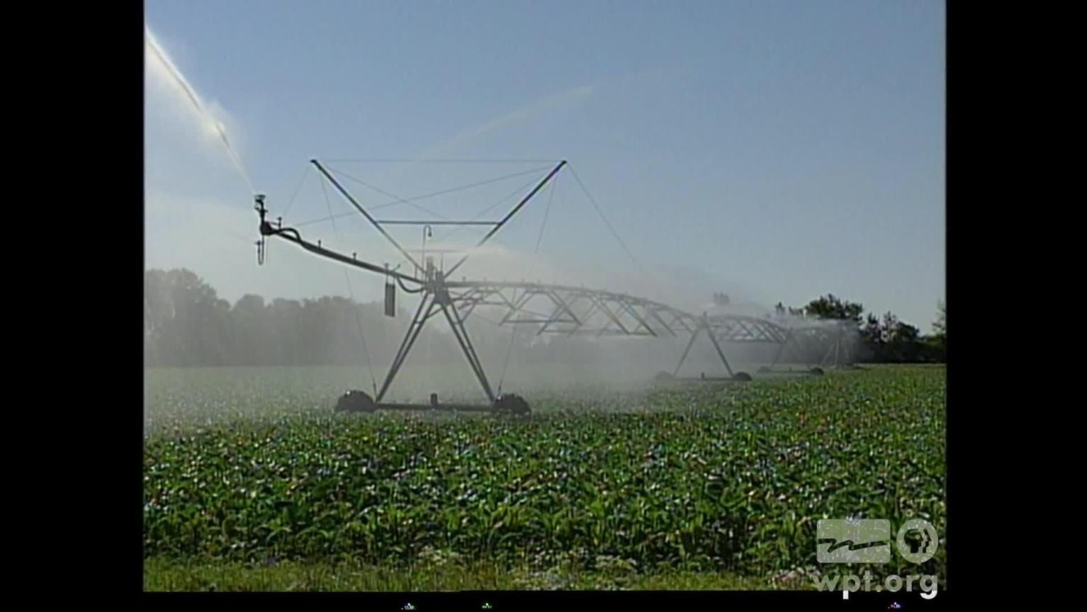 On the Trail | WPT Documentaries | PBS