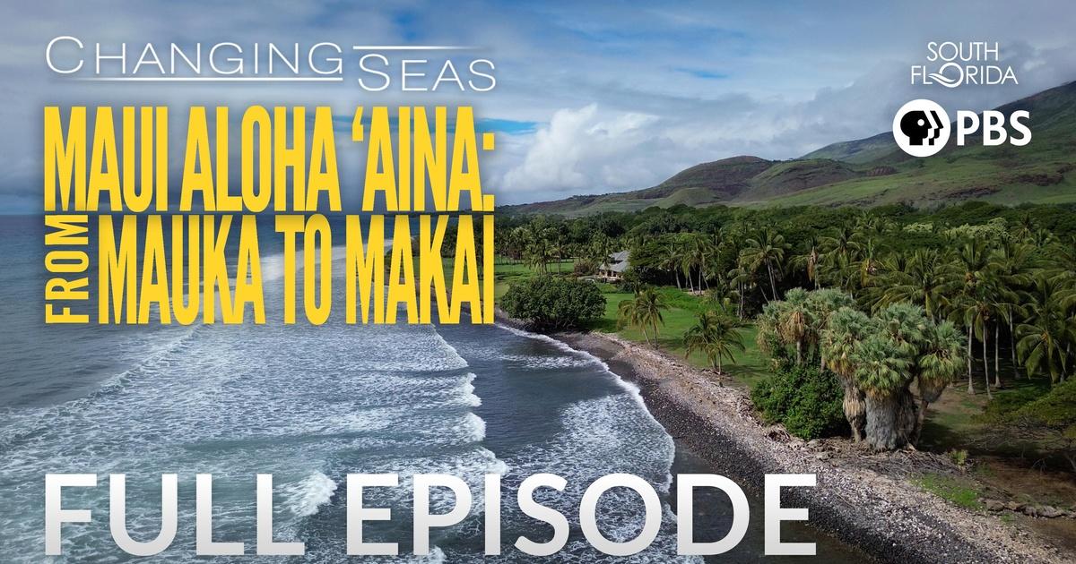 Changing Seas | Maui Aloha ‘Āina: From Mauka to Makai | Season 16 ...
