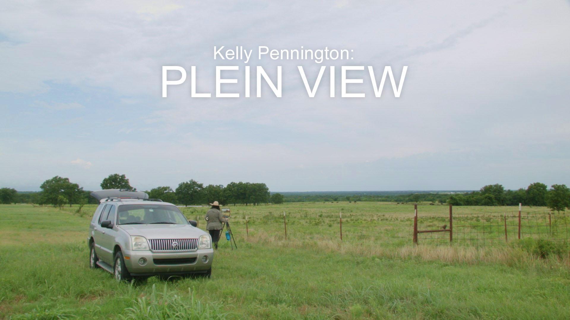 Kelly Pennington: Plein View | Gallery America | ALL ARTS