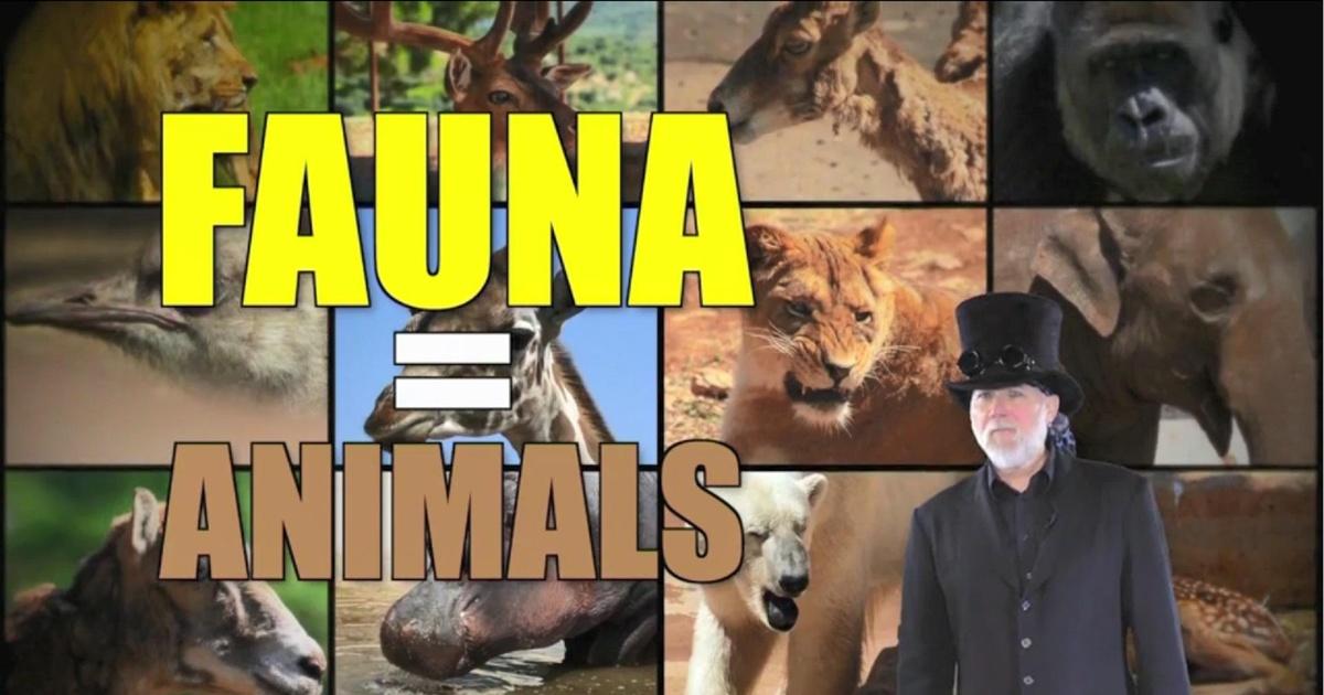 Steve Trash Science | Wonderful Wildlife/Robots Rock | PBS