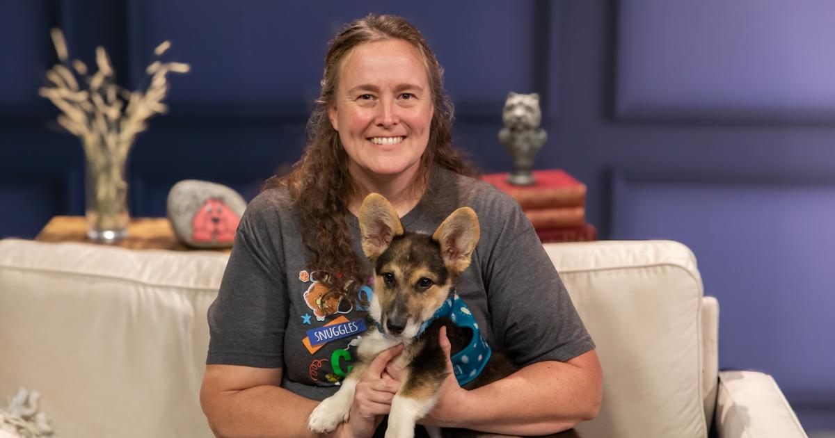 Contact | Saving Pets with Second Chances | PBS