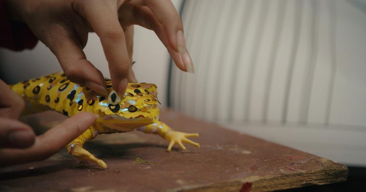 Art & Science Collide | Special Species: Piñata Art Celebrates At-Risk ...