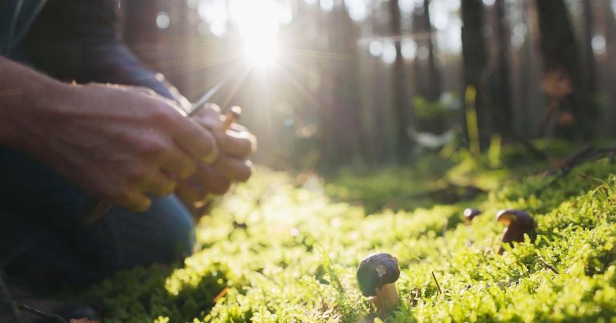 Life in Virginia's Appalachia | PBS