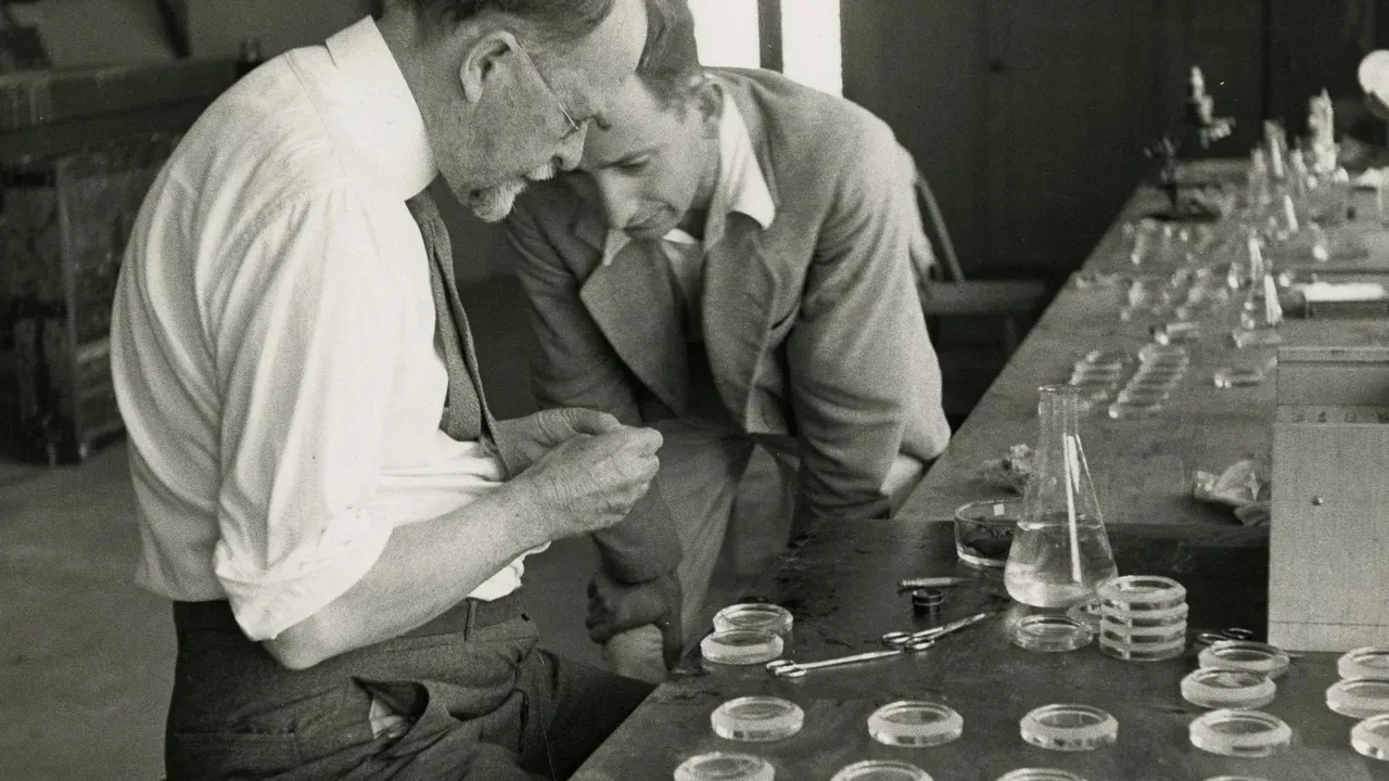 The Gene | Dawn of the Modern Age of Genetics | Episode 1 | PBS