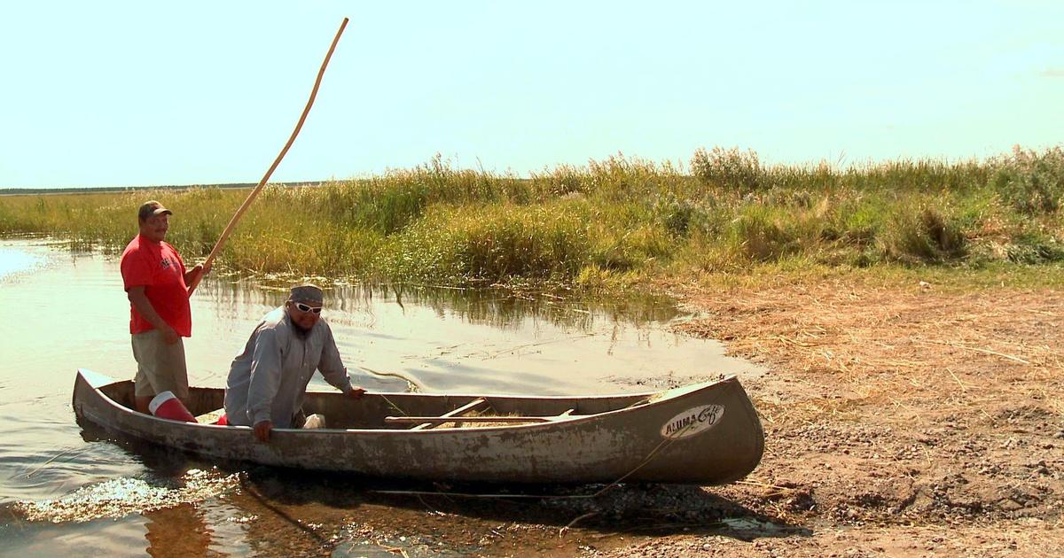 Common Ground | Wild Ricing | Season 10 | Episode 4 | PBS