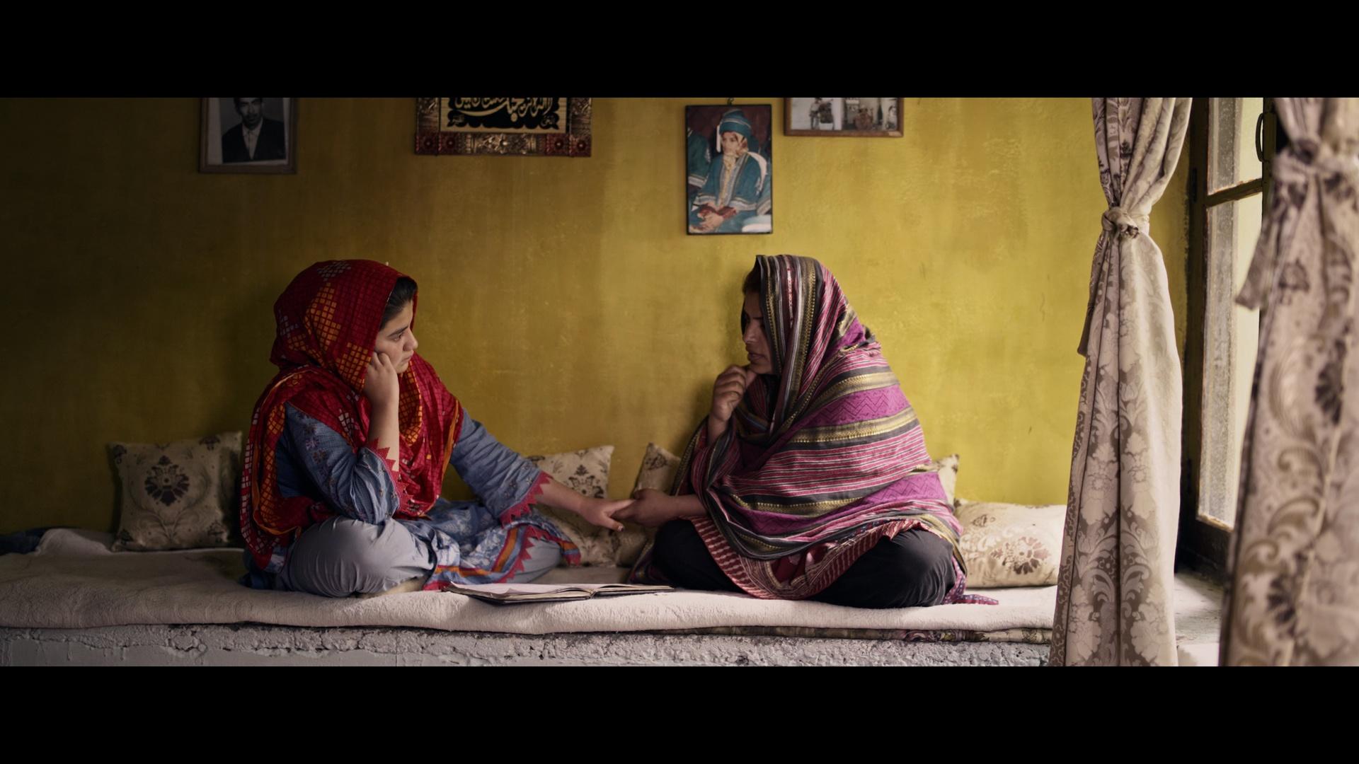 Doc World: The Ants & the Grasshopper | Trailer | Cascade PBS