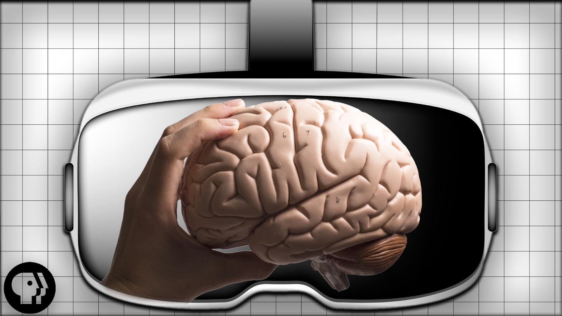 Your Brain In Virtual Reality | BrainCraft | ALL ARTS