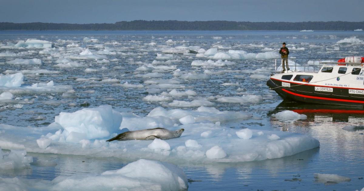 Patagonia: Life On The Edge of The World | The Far South | PBS